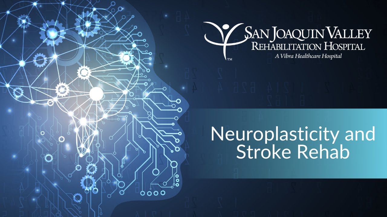 Neuroplasticity & Stroke Rehab | San Joaquin Valley Rehabilitation ...