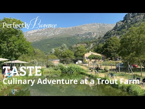 A Day at a Trout Farm in Provence - YouTube