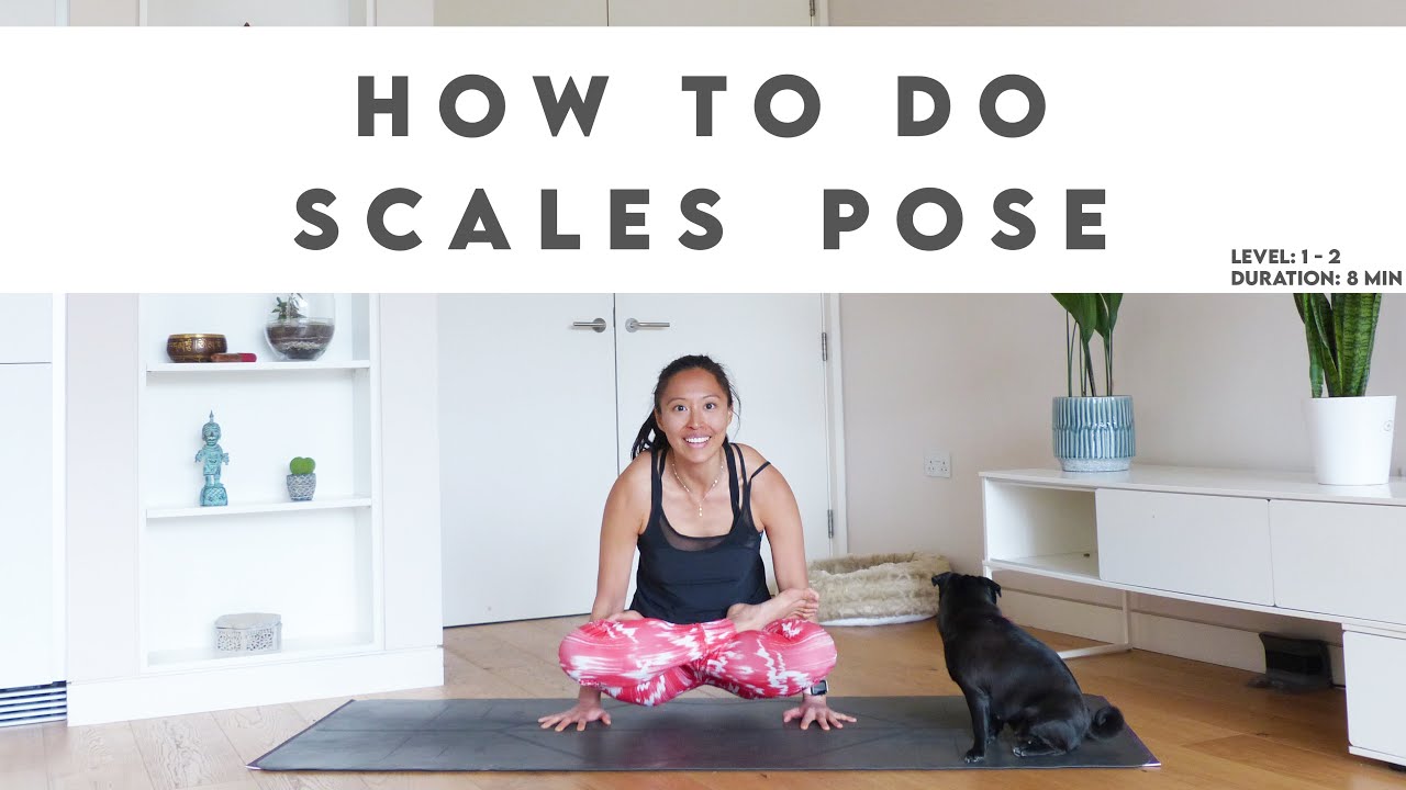 How To Do Scale Pose - Tolasana | Lydia Lim Yoga - YouTube