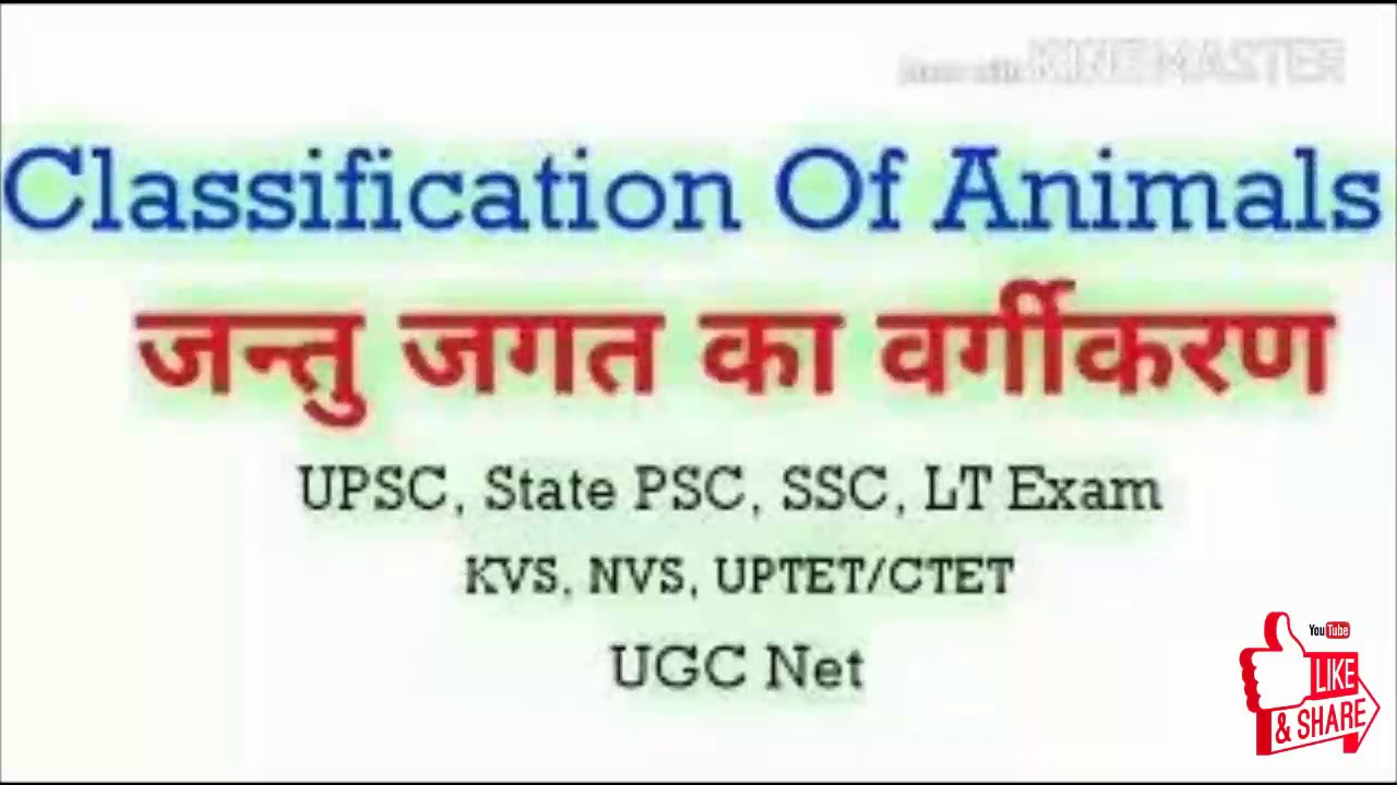 जीवधारियों का वर्गीकरण | Classification of animals | Hindi - YouTube