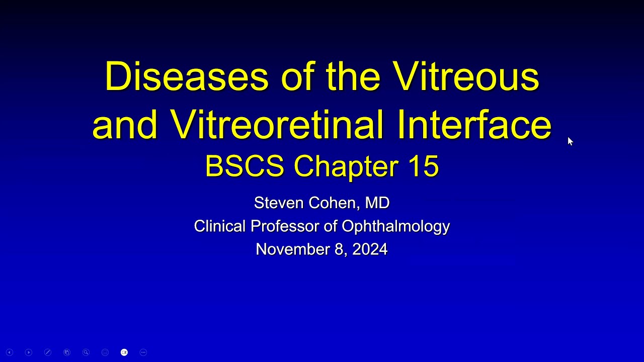 Vitreoretinal Interface Chapter 15 Lecture - YouTube