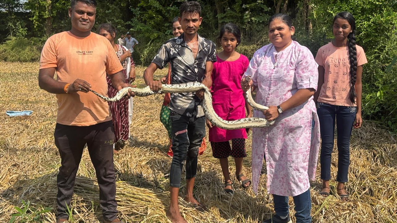 snake catcher india gujrat valsad vapi snake rescuer bhavna patel mo ...