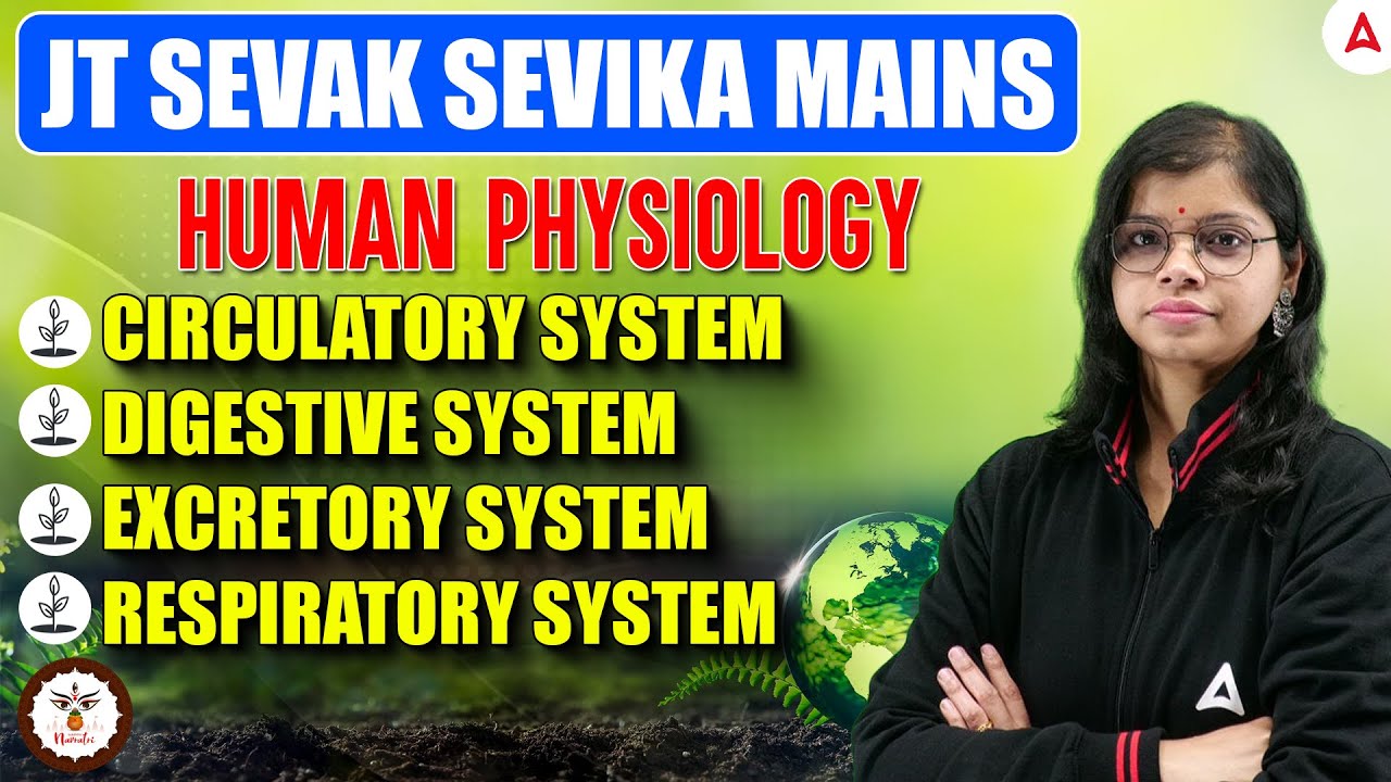 JT & Sevak Sevika Mains 2025 | Human Physiology Evs | By Analisa Maam ...