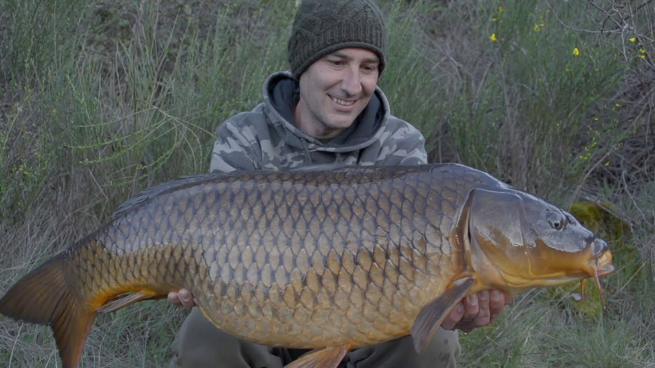 Fresh Fish - Carp Fishing en España. TRAILER - (Team & Revista CARPdiem ...