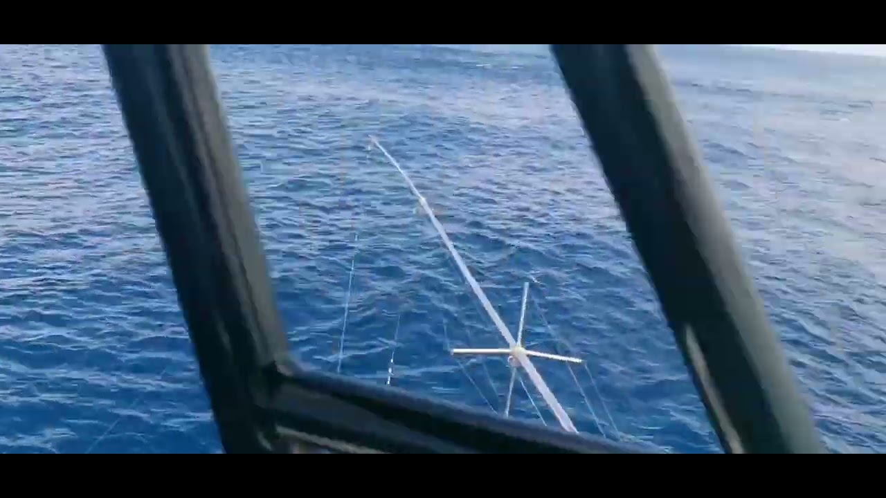 Catching 15 Tunas and Missing 2 Sailfish An Exciting Day with Big Eye 2 ...