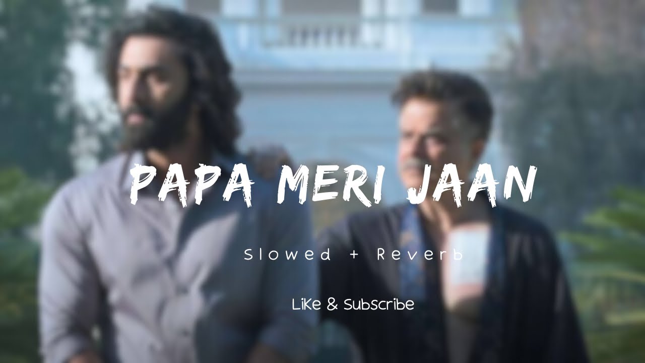 Papa Meri Jaan || Animal Song || Use Headphones 🎧 || Slowed Reverb ...