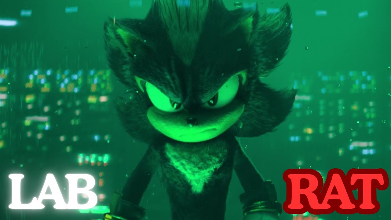 Shadow The Hedgehog Sad Story