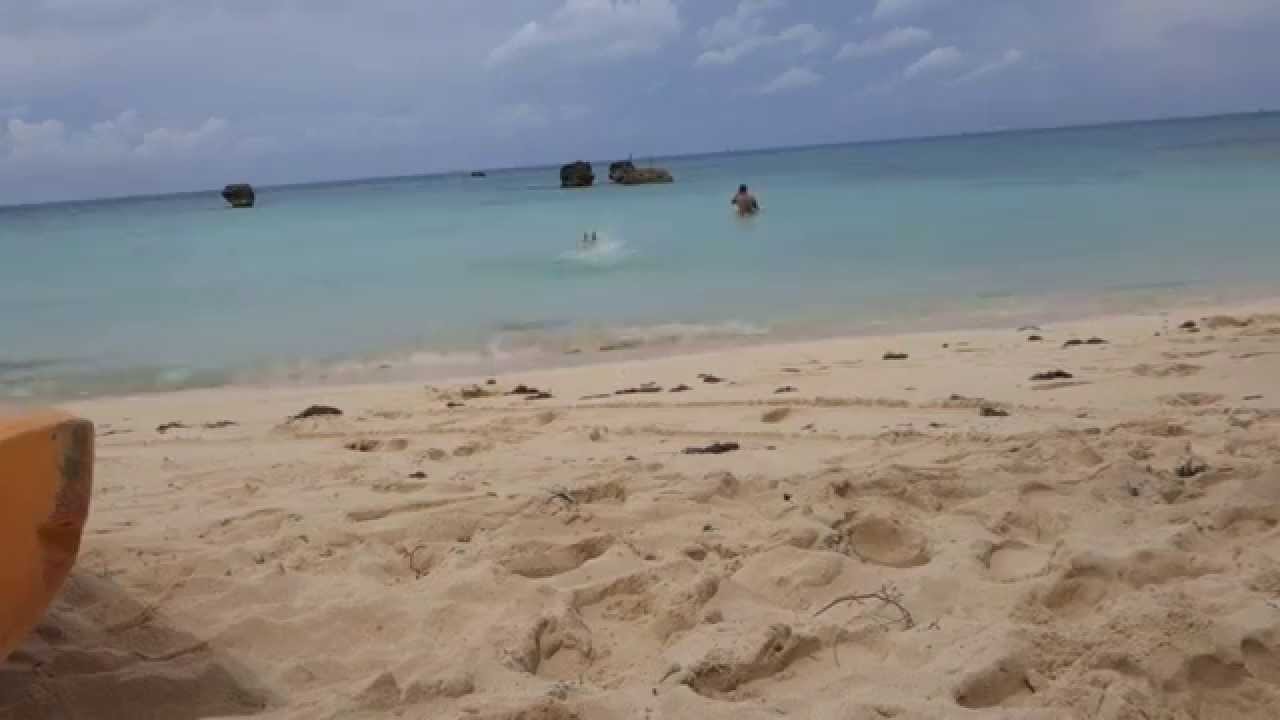 Bermuda Parrot Fish Talk - The Fish That Poops Sand - YouTube