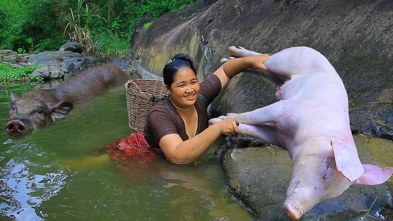 survival in the rainforest - Found Pig at river - Fried Pig with chili ...