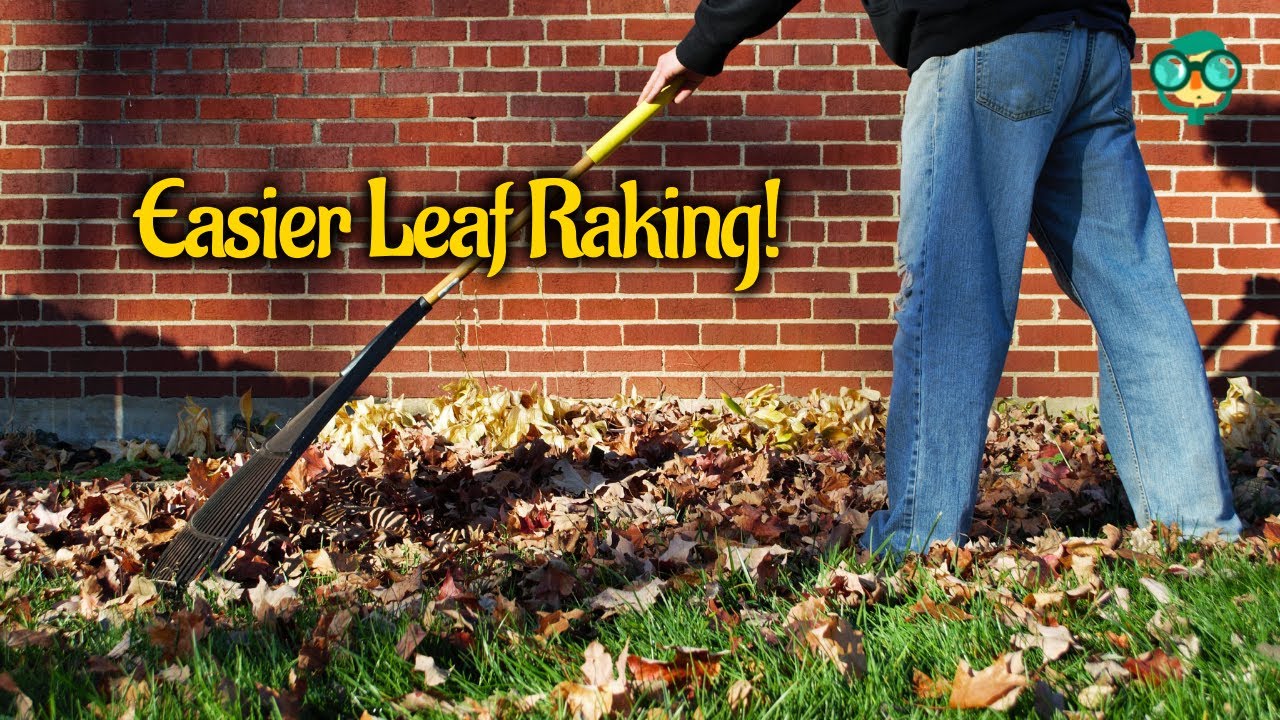 How to Rake Leaves the Right Way 🍂 | Easy, Fast & Efficient Fall Yard ...