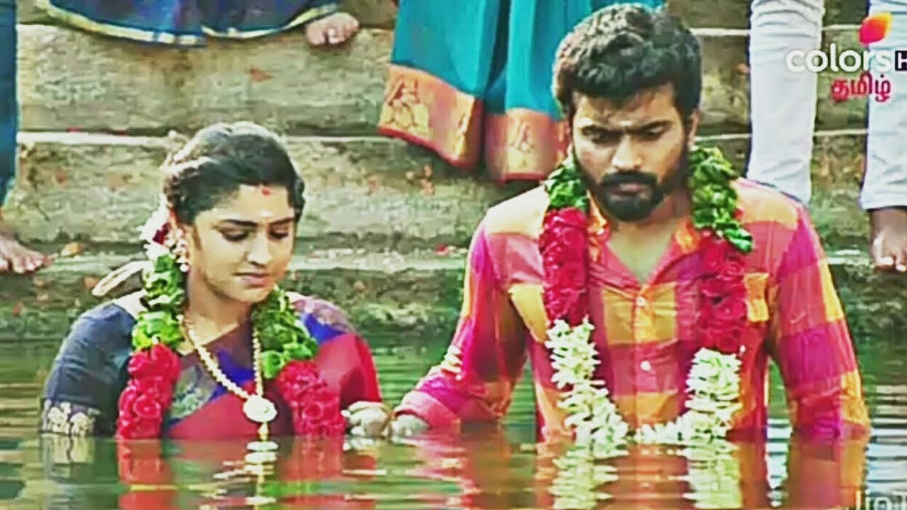 Thirumanam Serial Promo Review 25/2/19 To 28/2/19 Today - YouTube