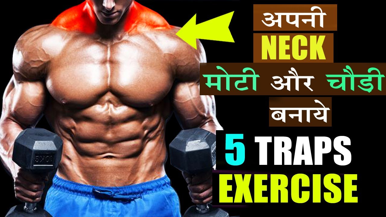 अपनी NECK (गर्दन) मोटी और चौड़ी बनाये |5 BEST TRAP MUSCLE EXERCISES ...