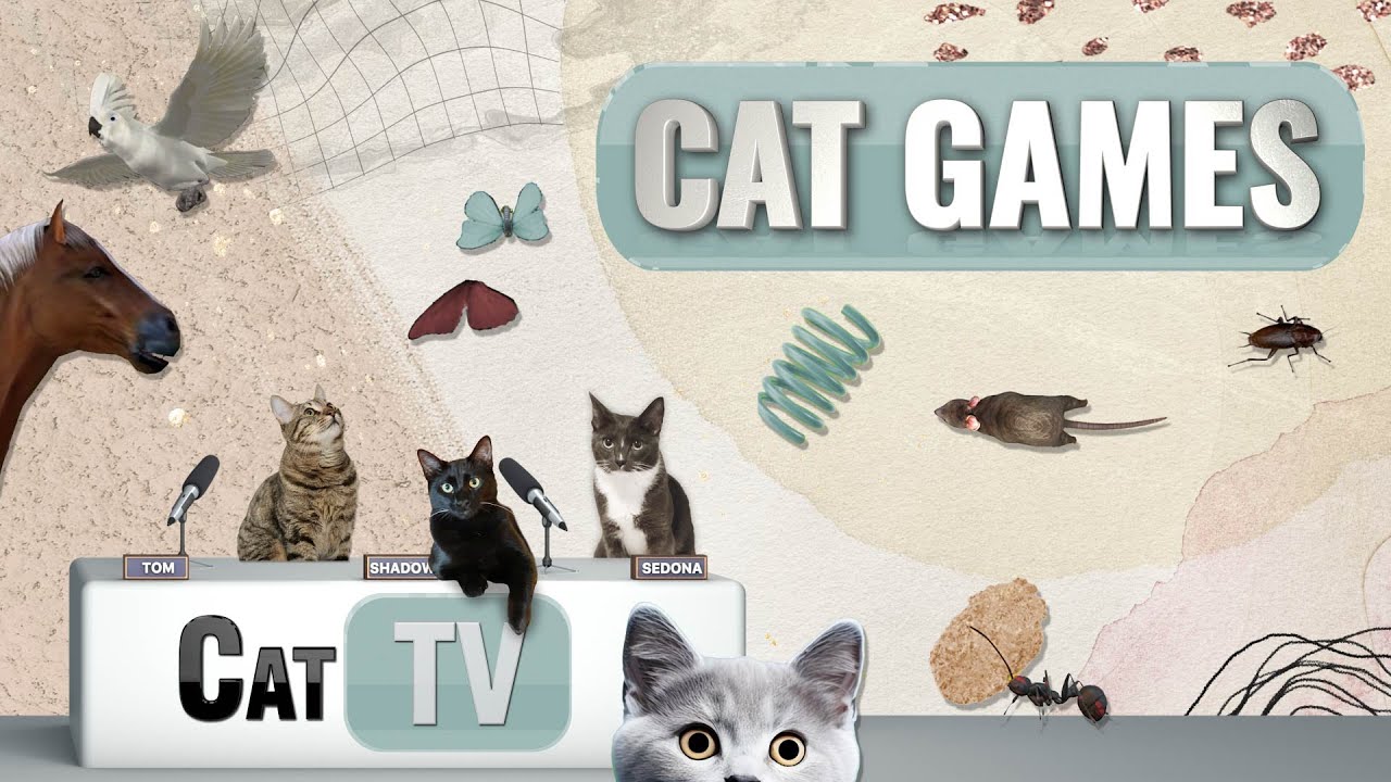 CAT Games | Ultimate Cat TV Compilation Vol 73 | 2 HOURS 🐝🐞🦋🦎🦜🐜🐭🧵 - YouTube
