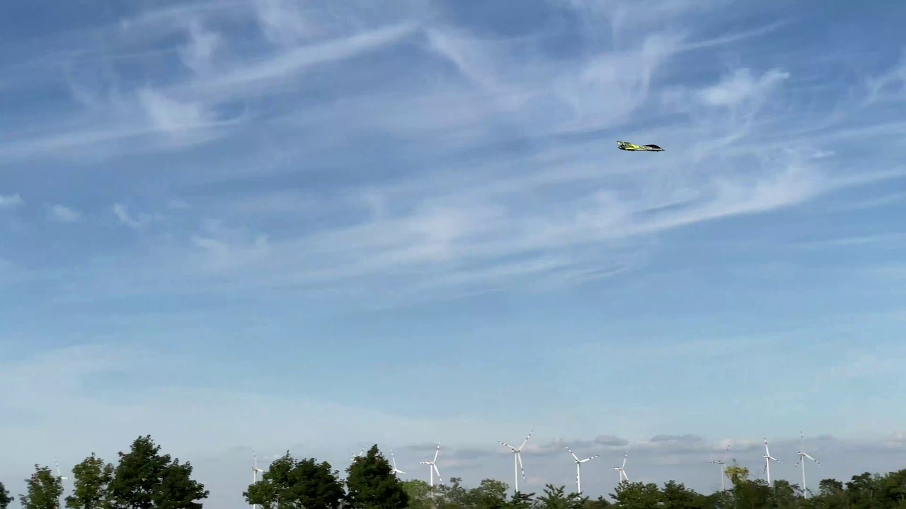 SAB Lizard - YouTube