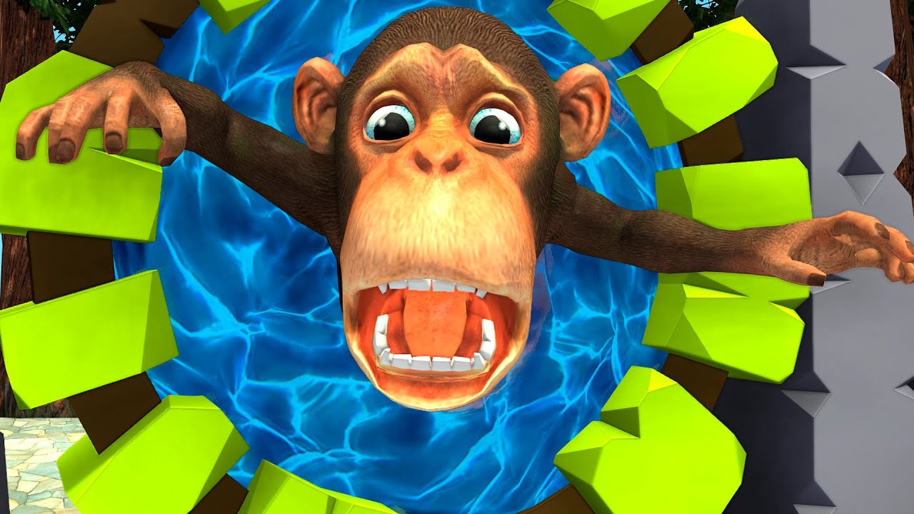 Monkey, Portal and Jumanji | Wild Animal Adventure - YouTube