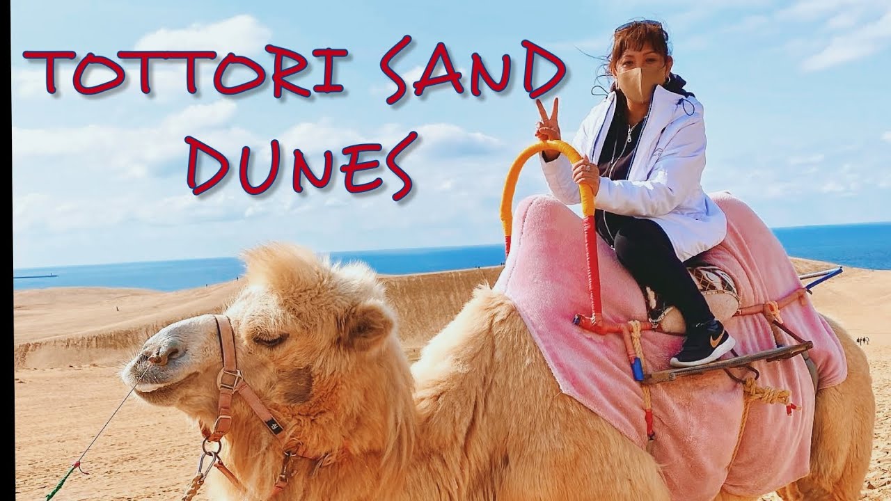Camel ride at Tottori Sand Dunes, Japan Vlog # 127 - YouTube