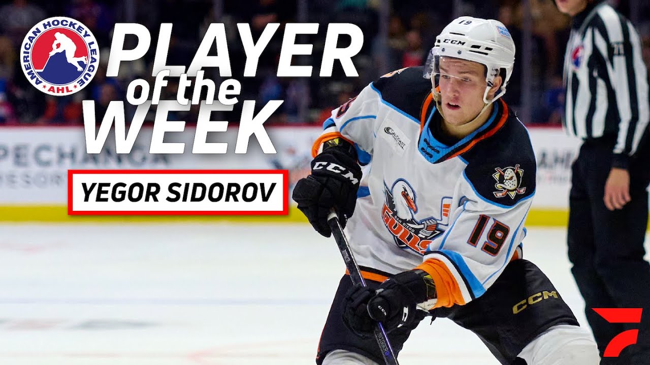 Yegor Sidorov Highlights: San Diego Gulls Forward Earns AHL Player Of The Week Honors - YouTube