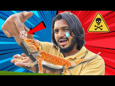 ড্রাগন কামুর দিলে কেমন লাগে , আজকে জেনে গিয়েছি । - YouTube