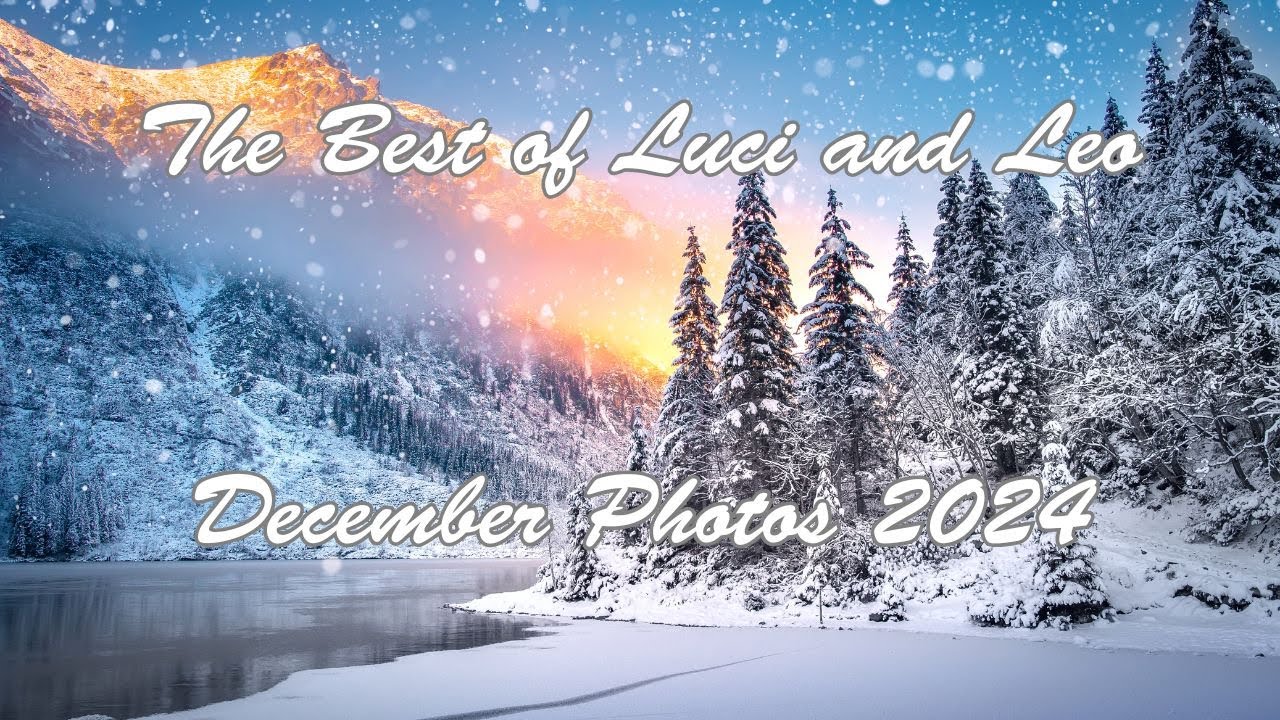 The Best of Luci and Leo - December Photo-shoots - YouTube