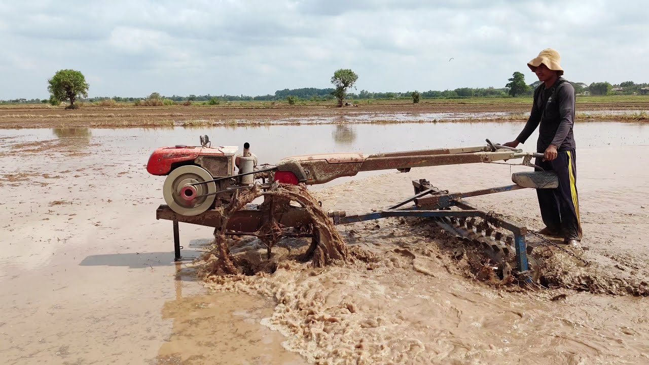 Farmer plowing in mud farm field for planting rice [ 4K HDR 10 Plus ...