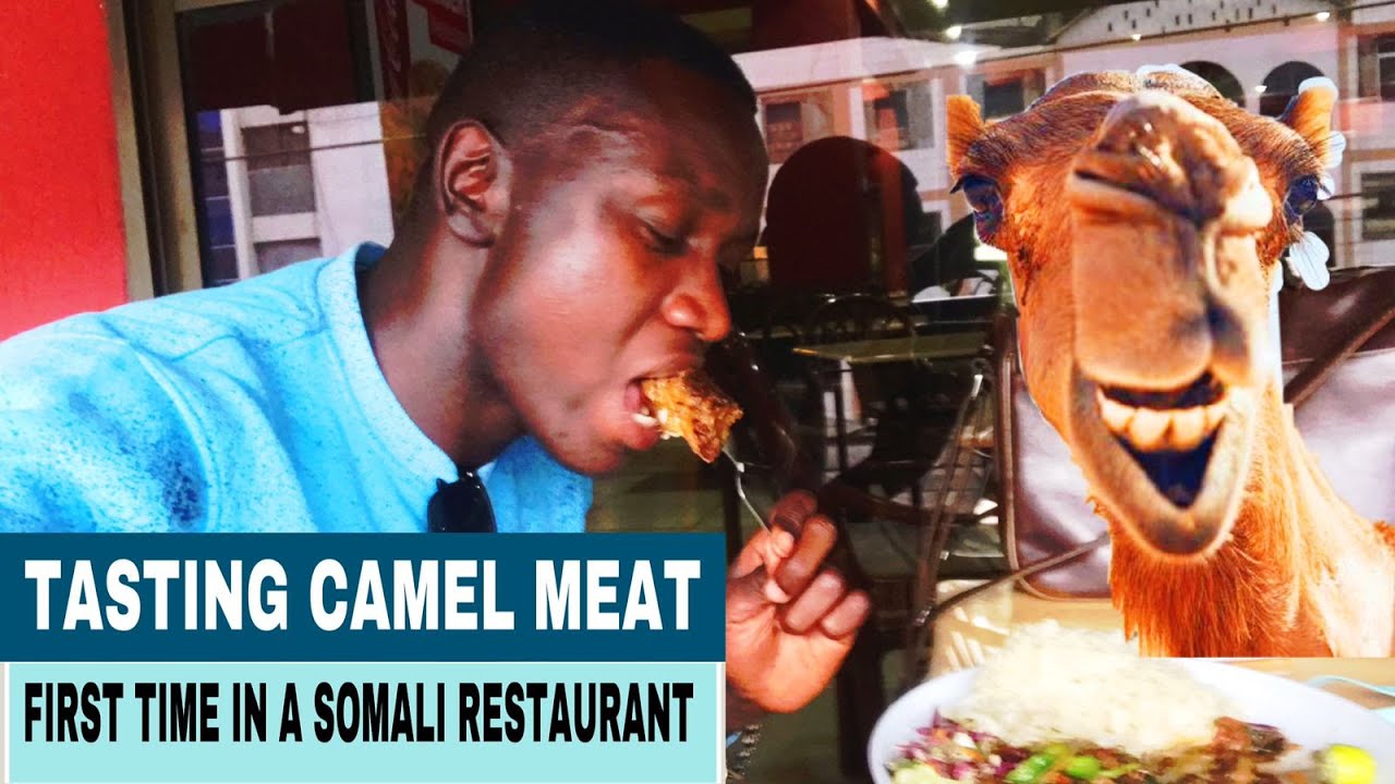 TASTING CAMEL MEAT FOR THE FIRST TIME IN A SOMALI RESTAURANT/WHY IS IT ...
