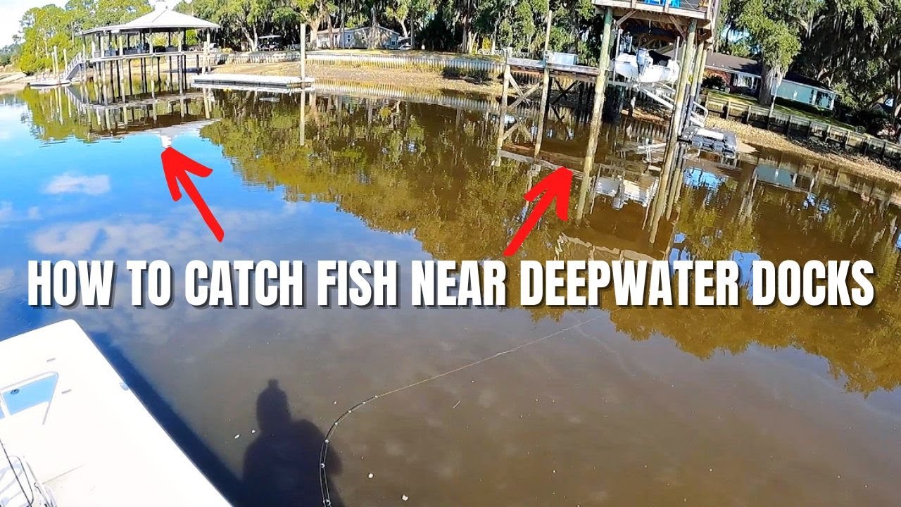 The #1 Way To Catch Fish Around Deepwater Docks - YouTube
