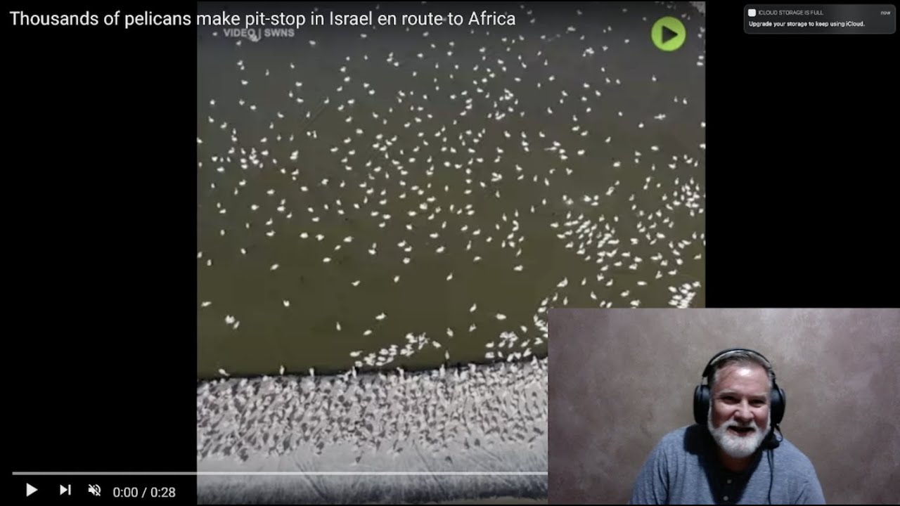 For the time to favour her, yea, the set time, is come - YouTube