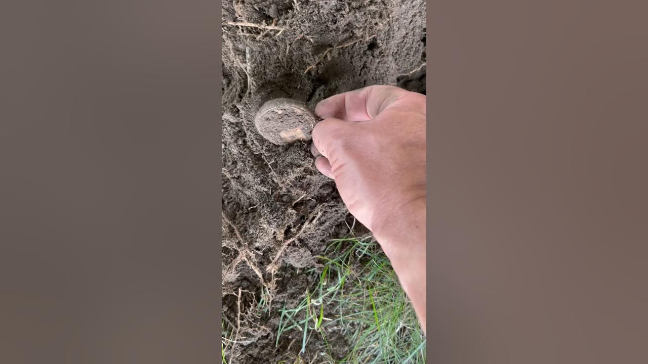 Coins & Relics Metal Detecting 1783 Virgin House! Treasure Hunting Finds Relic Hunt Nokta Legend ...
