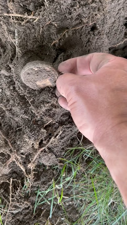 Coins & Relics Metal Detecting 1783 Virgin House! Treasure Hunting Finds Relic Hunt Nokta Legend ...