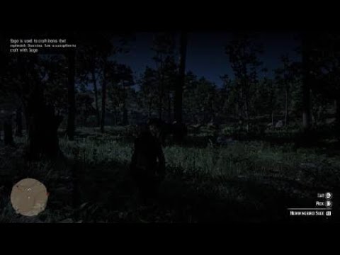 Red Dead Redemption 2 Hummingbird Sage Location - YouTube