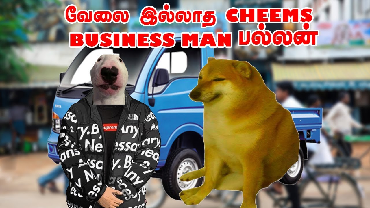 வேலை இல்லாத 'CHEEMS' BUISNESS MAN பல்லன் | Mr Cheems Troll | Tamil ...