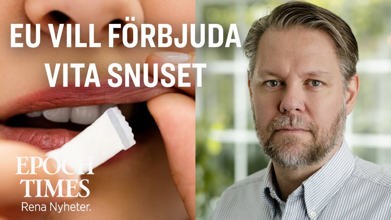 EU överväger förbud mot nikotinpåsar, även känt som vitt snus - YouTube