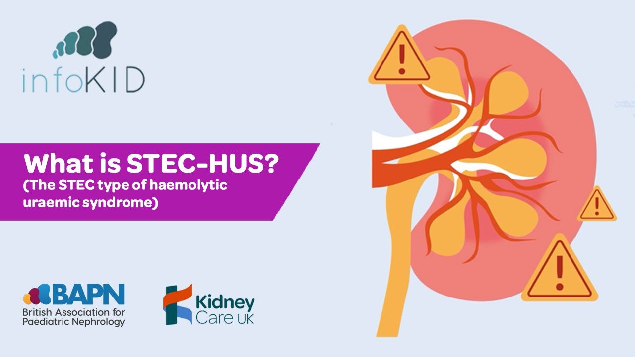 What is STEC-HUS? | infoKID - YouTube