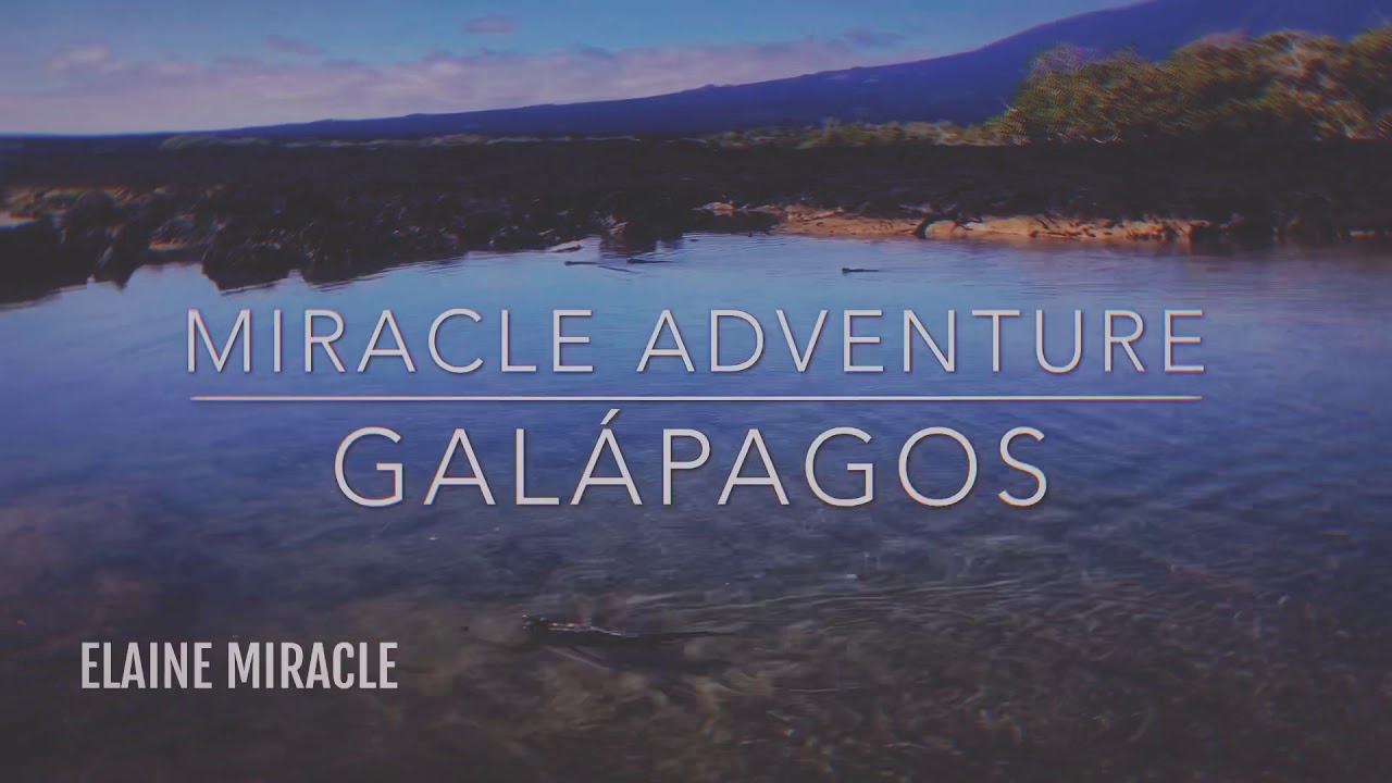 MIRACLE ADVENTURE - YouTube