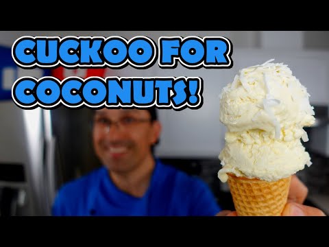 Escape the Guilt with Delicious Coconut Cream Protein Ice Cream | Ninja Creami Recipe