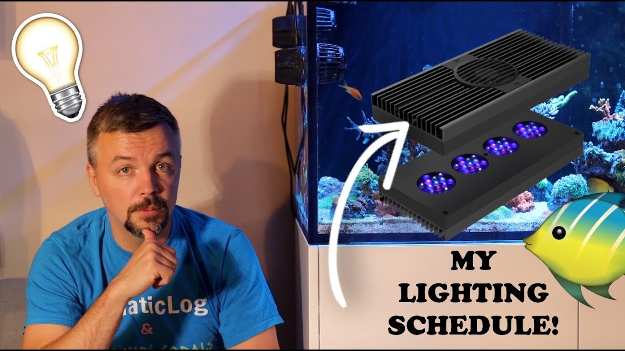 AI Hydra Color Spectrum - YouTube