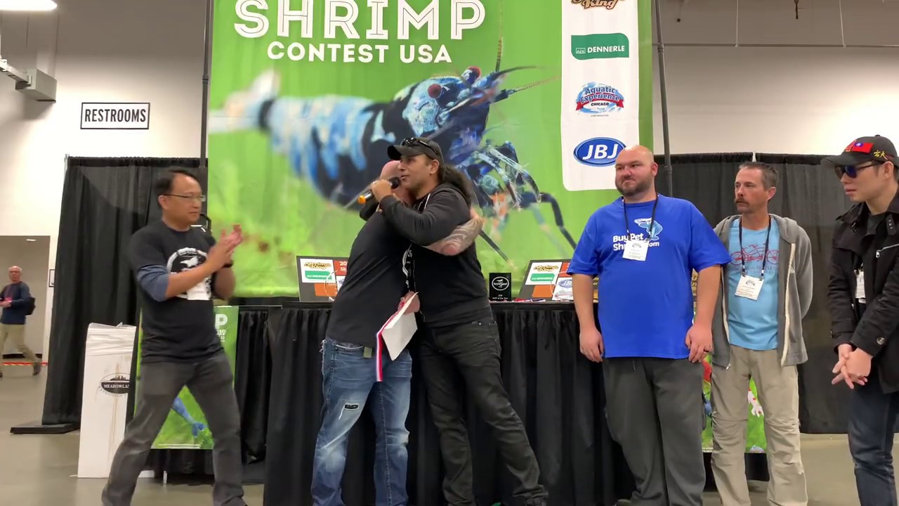 2019 international shrimp contests awards - YouTube