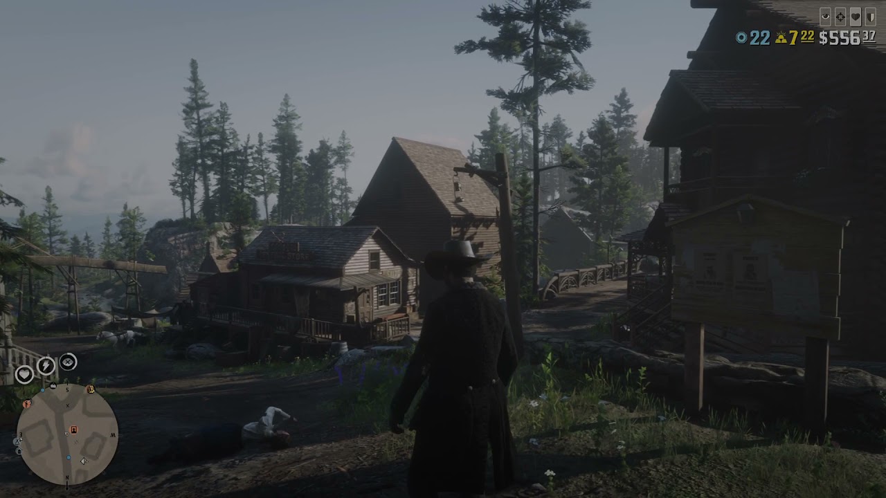 The life of a RDR2 witness - YouTube