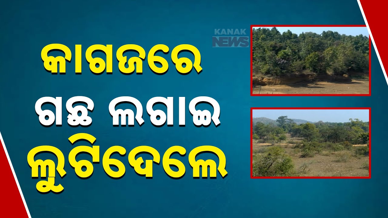 Bolangir's CAMPA Scandal: Millions Missing In Tree Planting Scam - YouTube