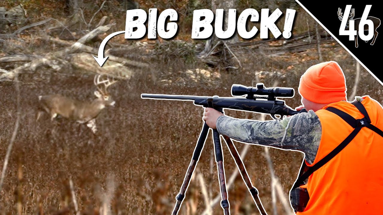 Deer Tour – The Woodsguys Inc.