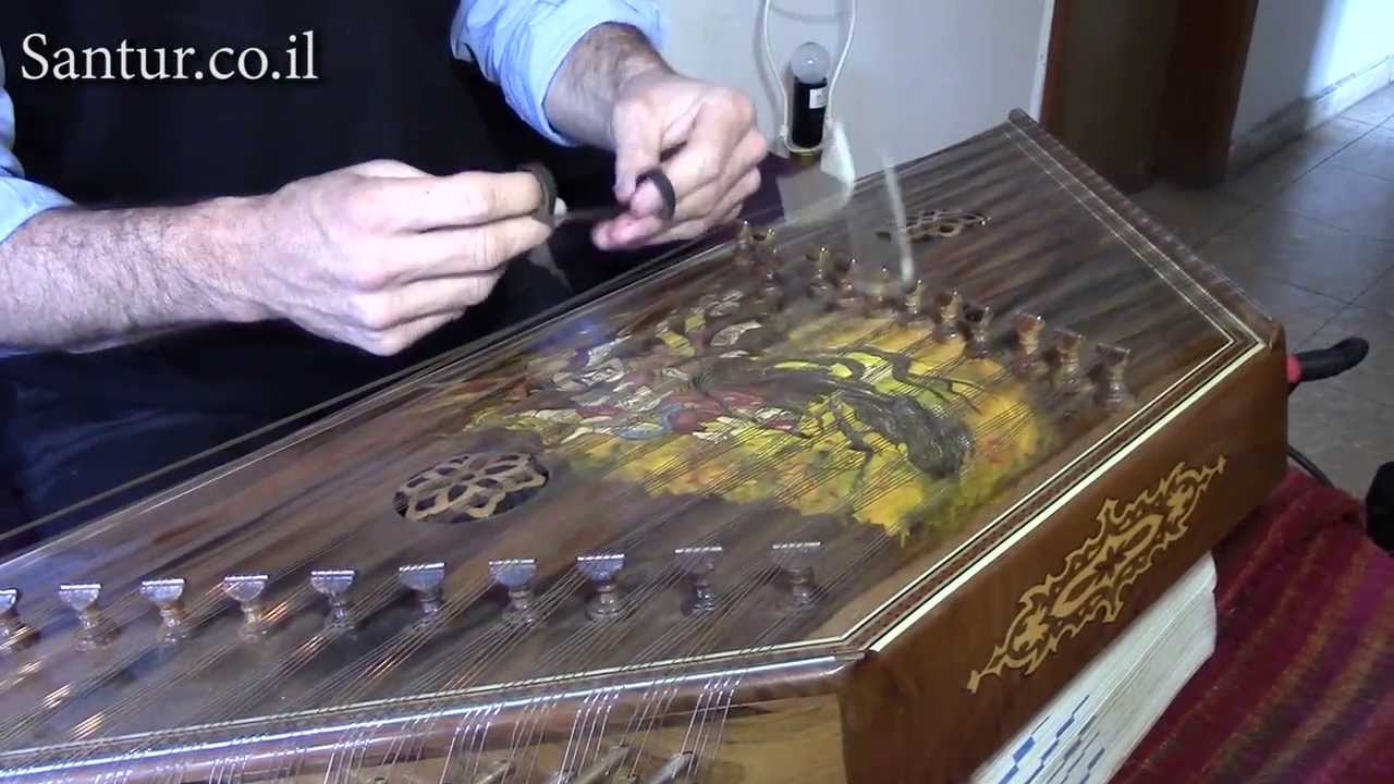אלתור על סנטור מיוחד במינו - אלדד לוי - Improvisation On a Special ...