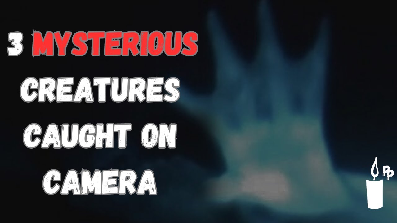 3 mysterious creatures caught on camera📱🎥 - YouTube