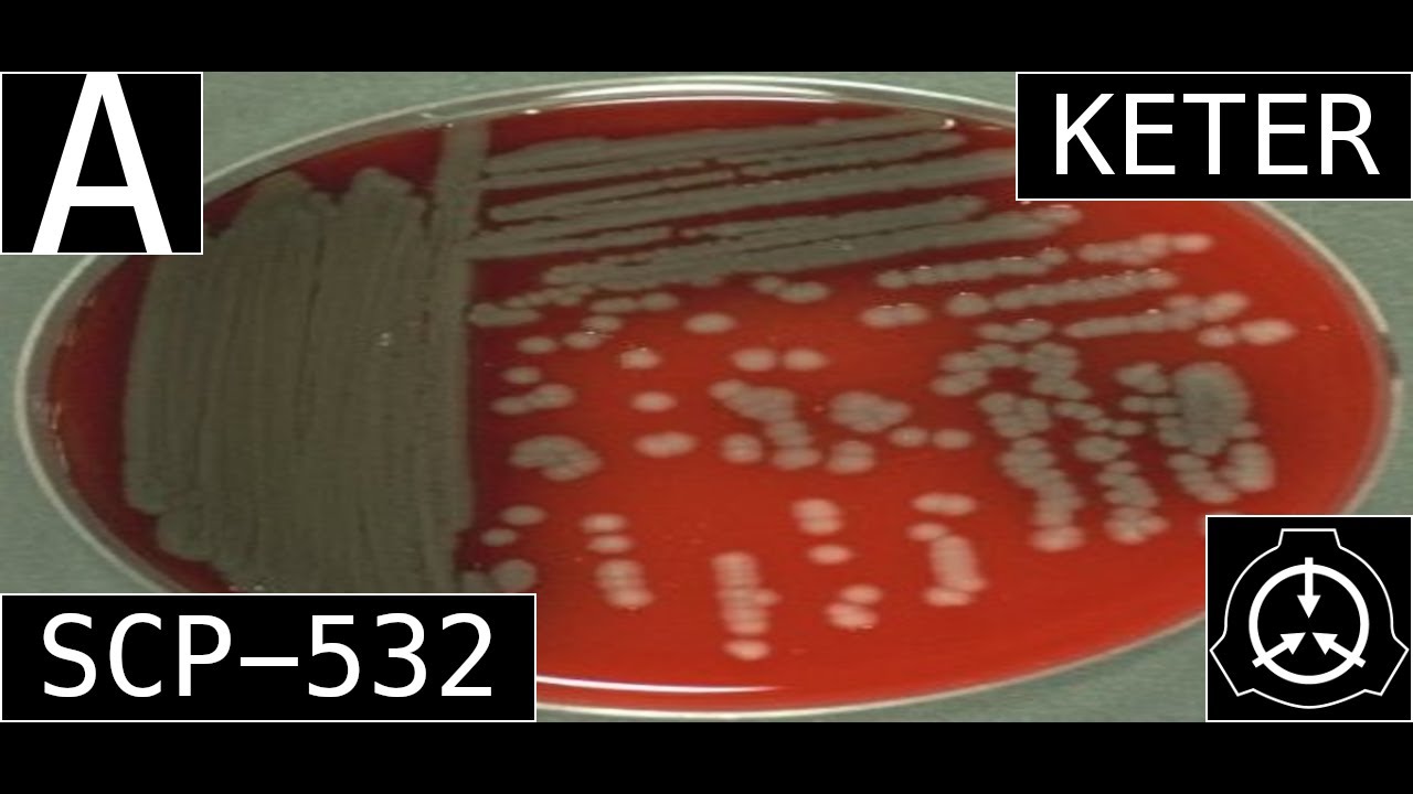 SCP-532 "Frost Bug" [SCP Wikidot] - YouTube