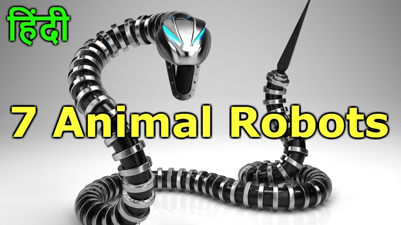 [Hindi] 7 Strange Animal Robots !! 7 अजीब पशु रोबोट - YouTube