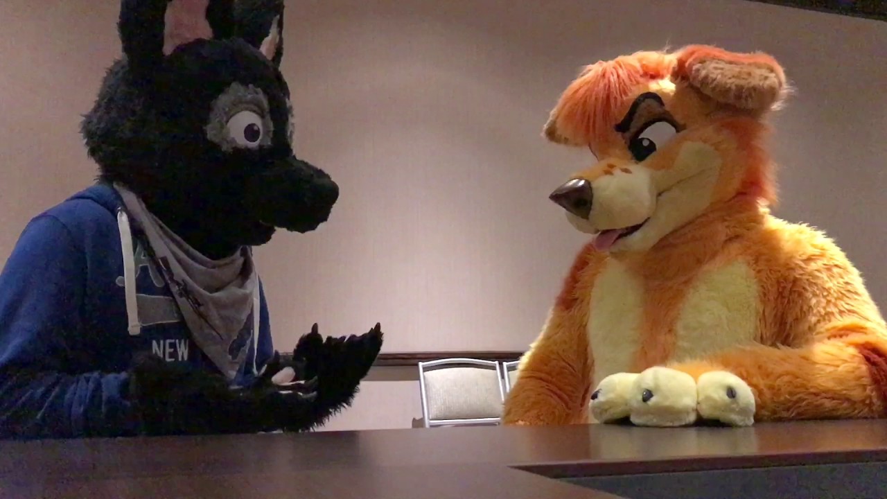 INTERVIEW WITH SUNNY DINGO! - YouTube