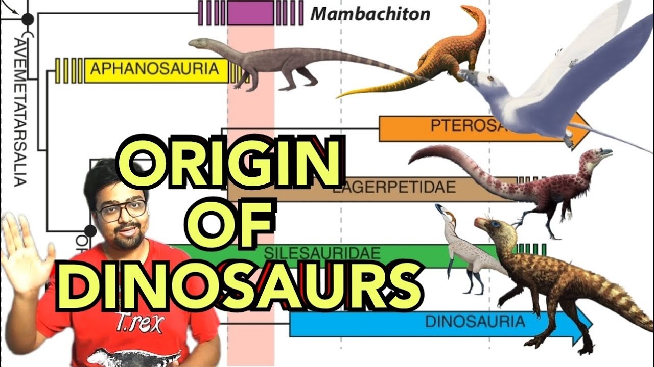 THE ORIGIN OF DINOSAURS : EARLY EVOLUTION OF DINOSAURS || HOW DID ...