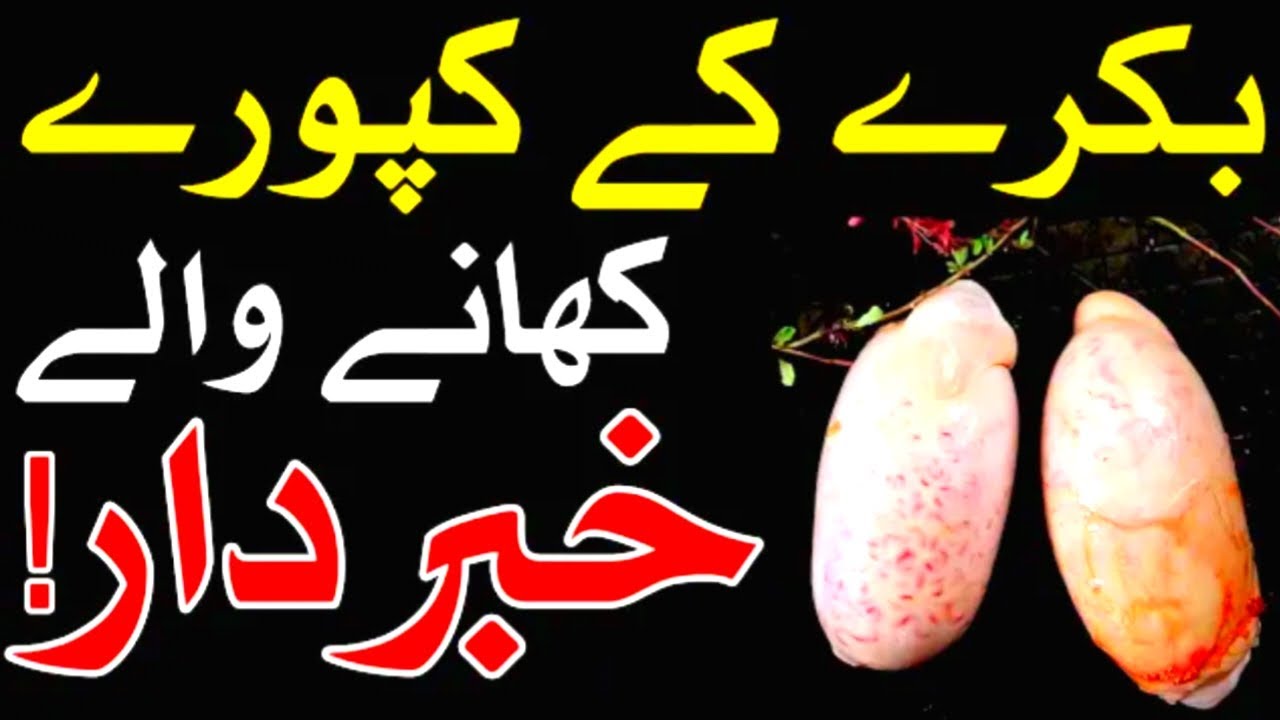 How to eat goat kapore |Bakre K Kapore Khana kisa Hai | M& Story - YouTube