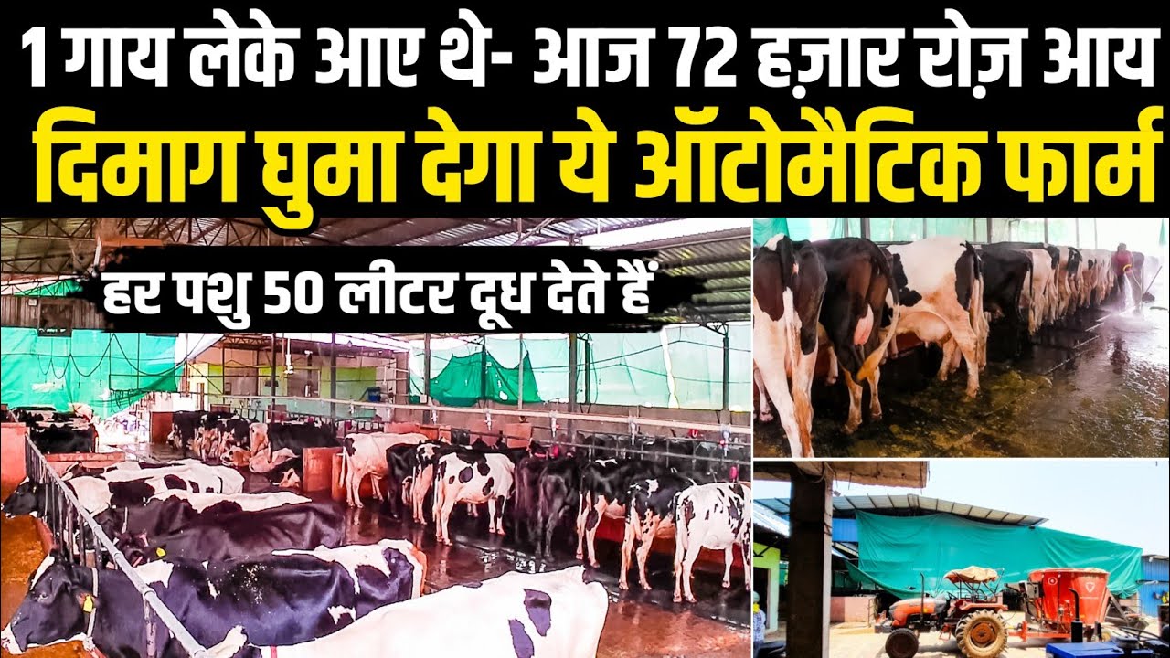 पांच साल में कैसे बना लिए करोड़ों का फार्म/Shri raghav dairy farm basti ...