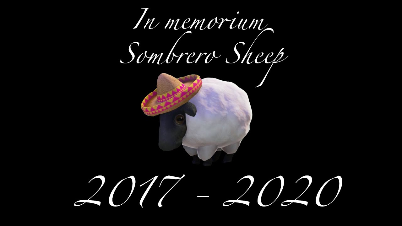 RIP Super Mario Odyssey Sombrero Sheep - YouTube