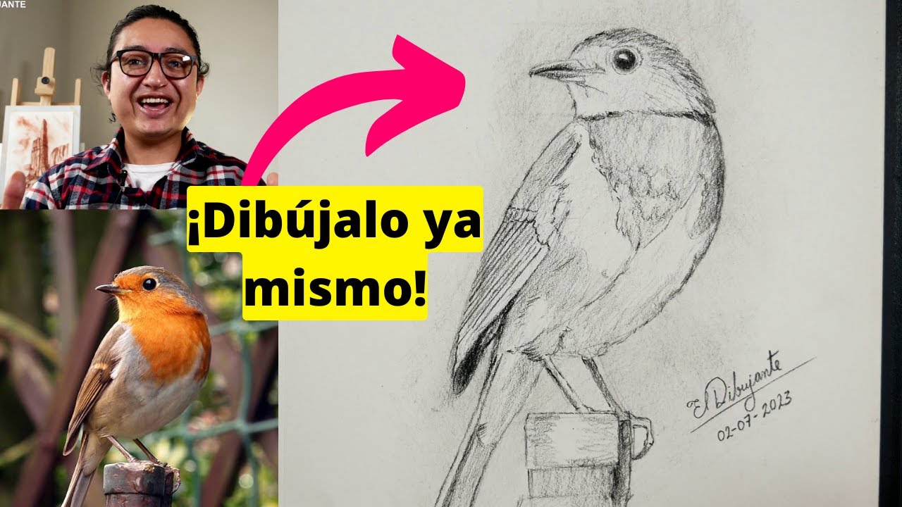 Dibujos A Lápiz De Animales Y Pájaros